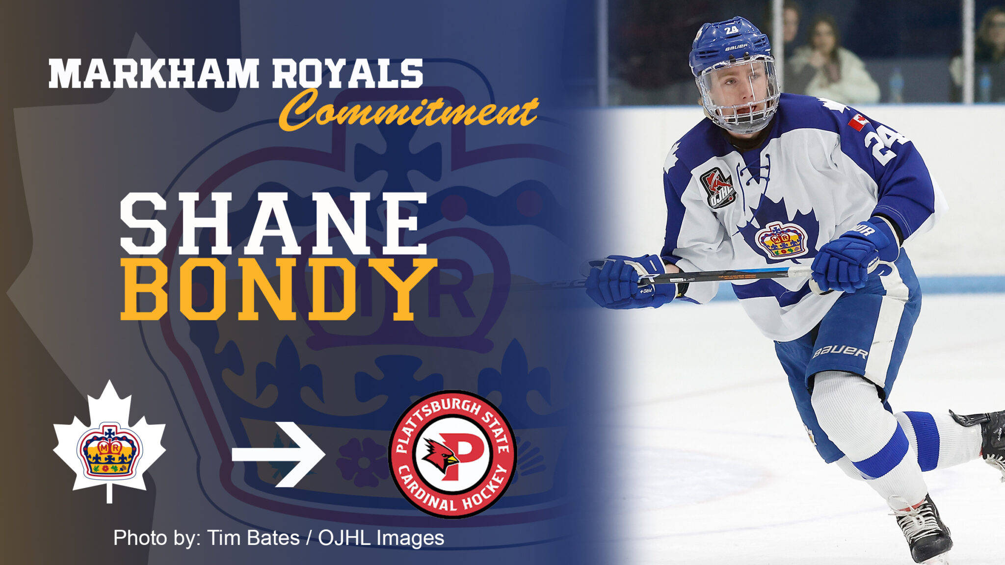 COMMITMENT ALERT: Shane Bondy | Markham Royals