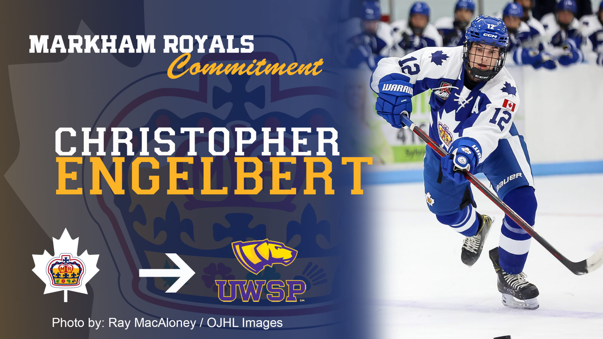 COMMITMENT ALERT – CHRISTOPHER ENGELBERT | Markham Royals